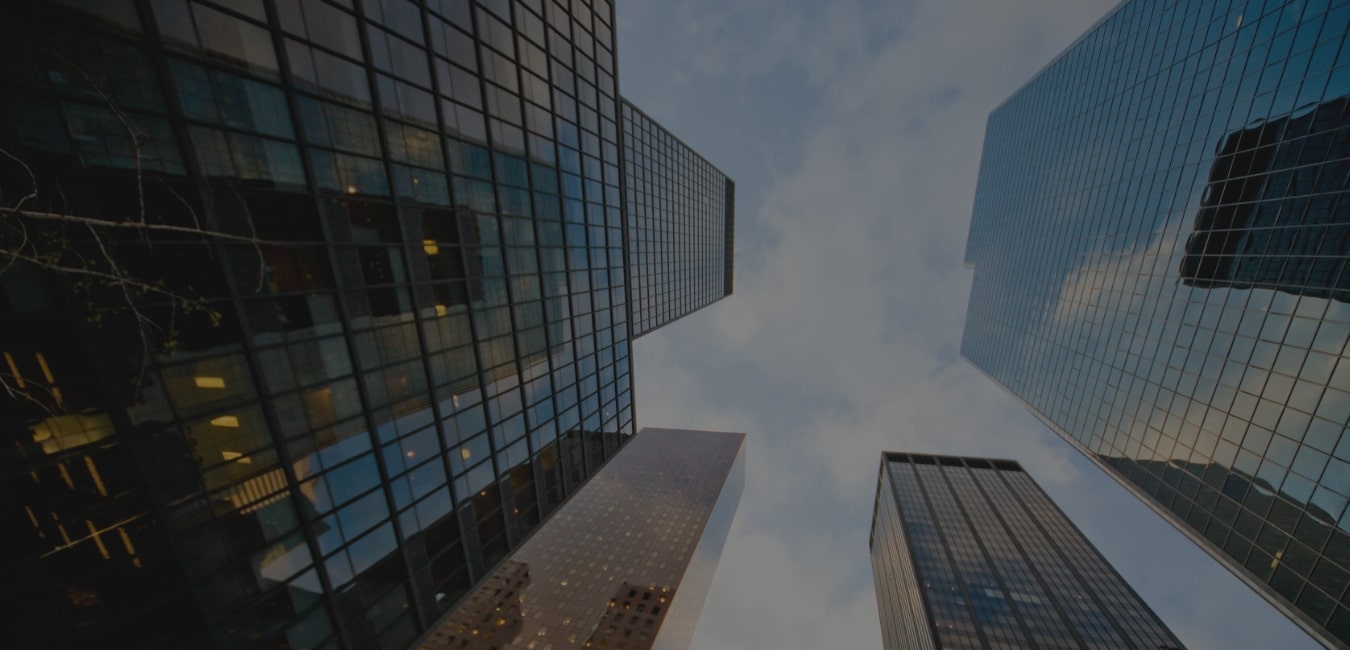 SAP S/4 HANA ERP Cloud for large organization - Sileron