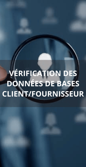 Add-on Vérificateur de données clients/fournisseurs - SILERON